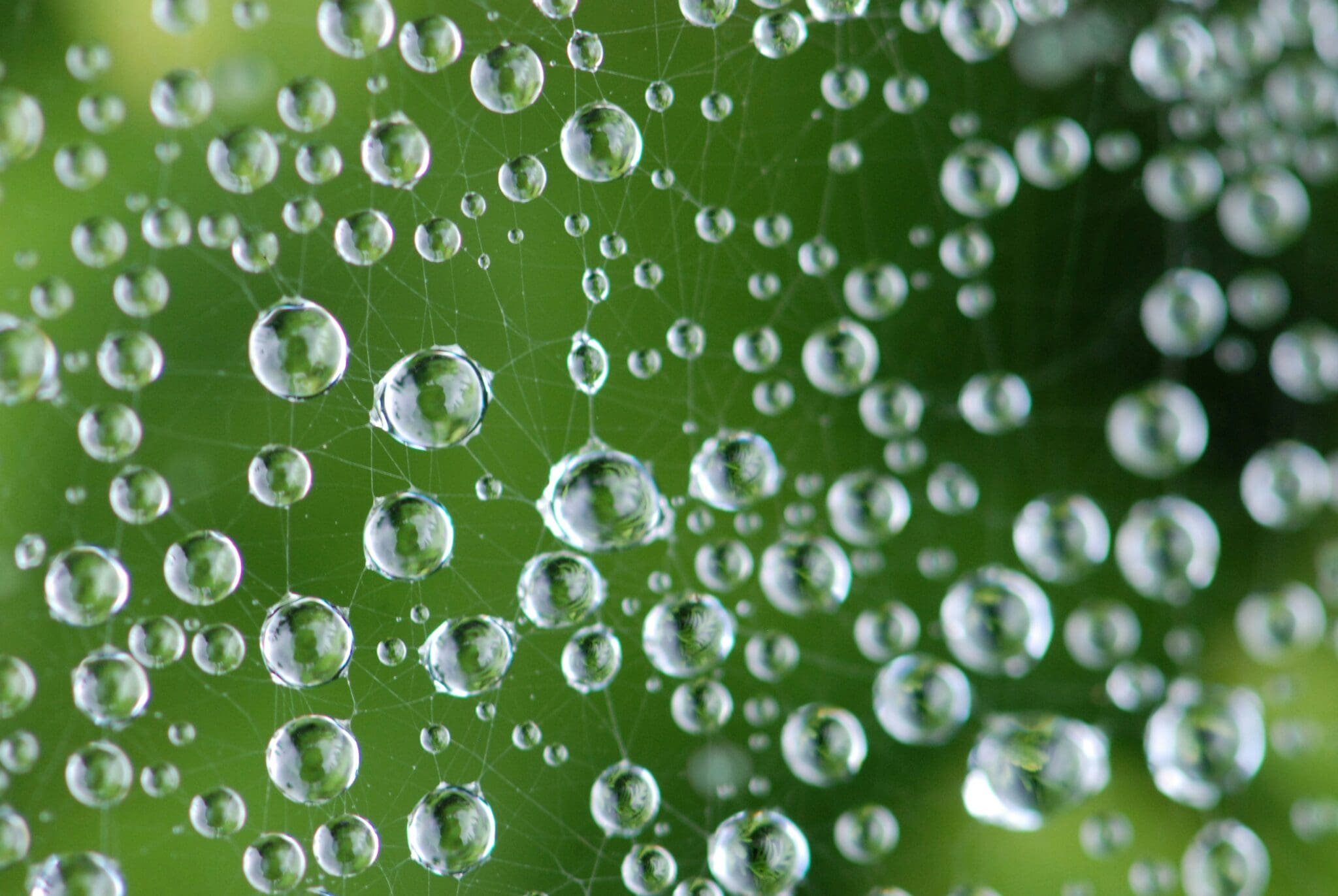 10 Tips For Easy Droplet Generation: A Guide