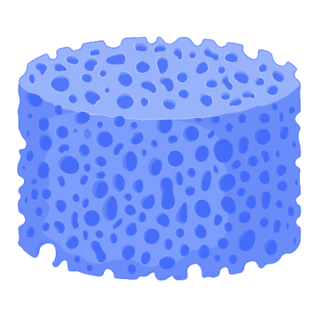 3D Cell Culture: Advantages and Disadvantages