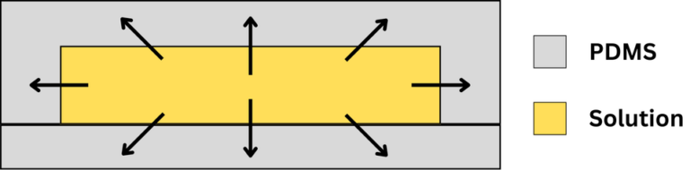 Absorption - Microfluidics Explained