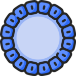 How does the blood-brain barrier work? - Darwin Microfluidics