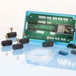 How does the blood-brain barrier work? - Darwin Microfluidics